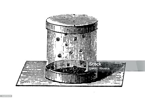 골동품 삽화 물리학 원리 및 실험 전기 및 자기 코르크 구체 전기 춤 19세기에 대한 스톡 벡터 아트 및 기타 이미지 19세기 19세기 스타일 고풍스런 Istock
