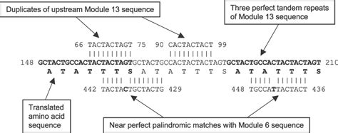 Key Features Of Module 6 And 13 Sequences The Sof Sequence Af139751 Is