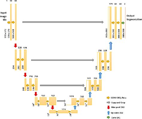 figure 1 from brain tumor segmentation using mri images by optimized u