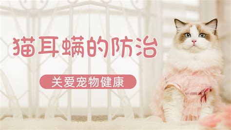 终身教育平台