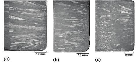 Longitudinal Solidification Macrostructure Of Lower Section Of A 25