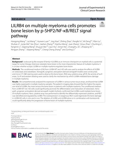 Pdf Lilrb4 On Multiple Myeloma Cells Promotes Bone Lesion By P Shp2 Nf κb Relt Signal Pathway