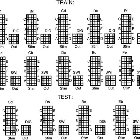 Training Patterns Stimulus Input Pairs And Trained Output Response