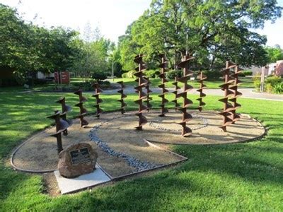 Grouping Of Steel Augers Emerging From The Ground On The American River