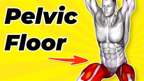 7 Pelvic Floor Exercises For Men A Comprehensive Guide To Strengthening Your Pelvic Muscles