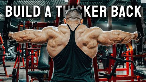 One Hour Back Workout 8 Exercises To Build A Thicker Back Youtube