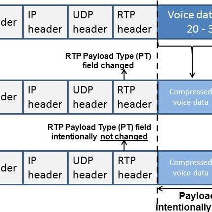 RTP Packet Secured With SRTP Protocol Download Scientific Diagram