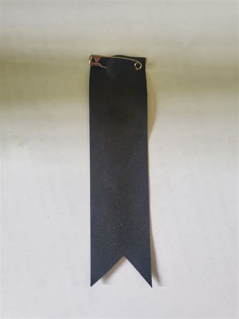 의회가 준 이상한 검은리본 국가애도기간에 숨이 막혔다 오마이뉴스