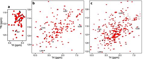 ¹h ¹⁵n Hsqc Spectra Illustrating Cross Peak Shifts Caused By Tbu Download Scientific Diagram