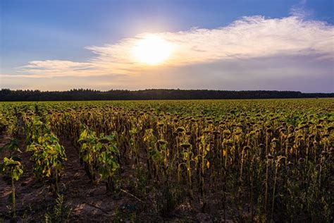 Onu Prevé Décadas De Más Calor Inundaciones Sequías Y Ciclones En