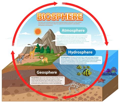 Premium Vector Biosphere Ecology Infographic For Learning