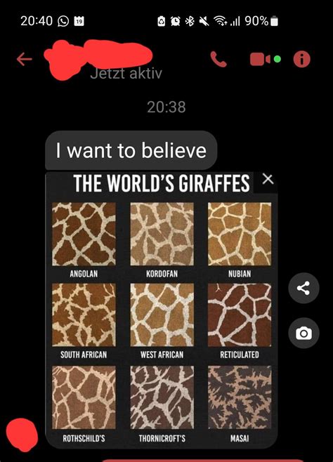 My Brother Just Sent This They Finally Got To Him R Giraffesdontexist