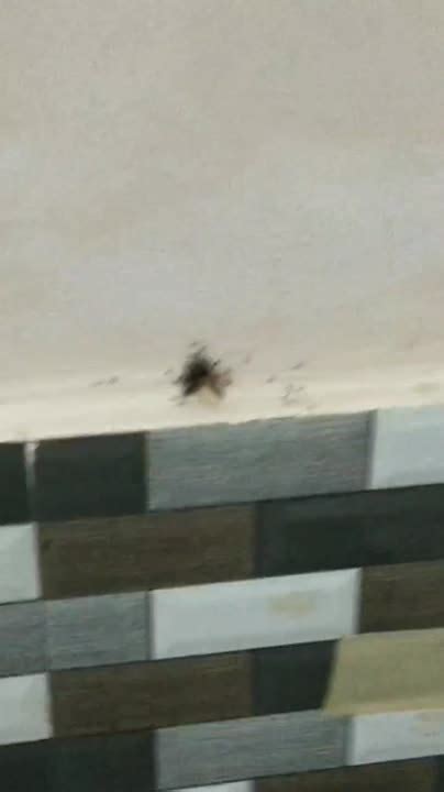 Vikash Kumar On Linkedin Power Of Unity