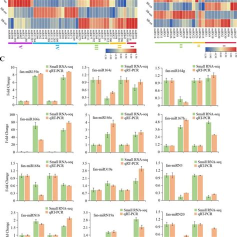 Expression Profiling Of Known And Novel Mirna Families In The