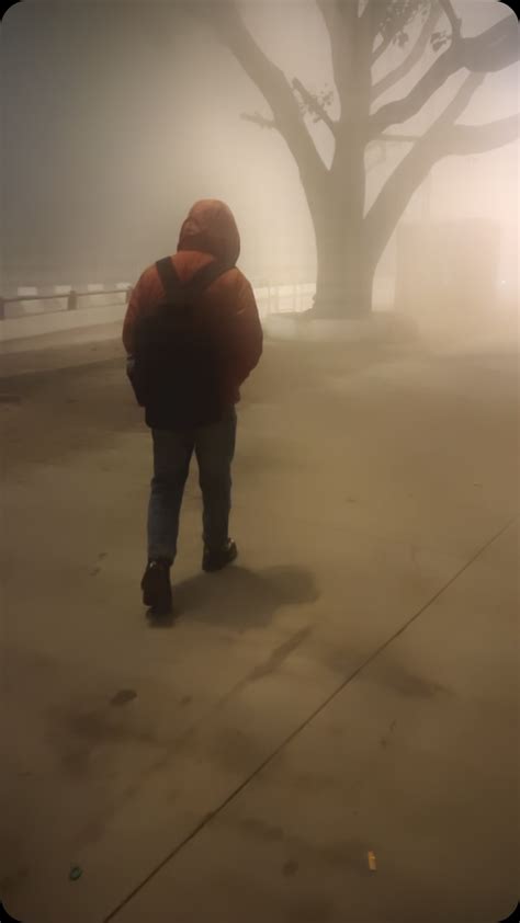 Anas Ansari Anasansarisad786 • Instagram Photos And Videos