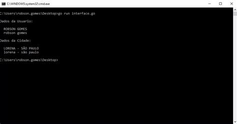 magus code programando em go golang interface