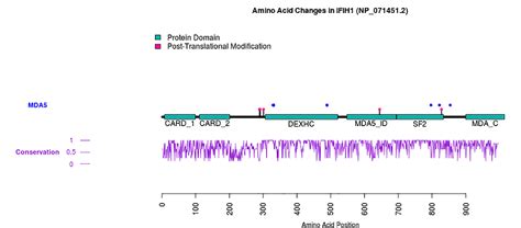 Figure 1 From Oral Phenotype Of Singletonmerten Syndrome A Systematic