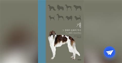 개 그 생태와 문화의 역사 플라이북