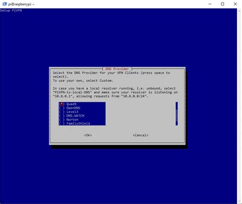Trying To Set Up A Vpn On A Raspberry Pi But I Cant Seem To Configure