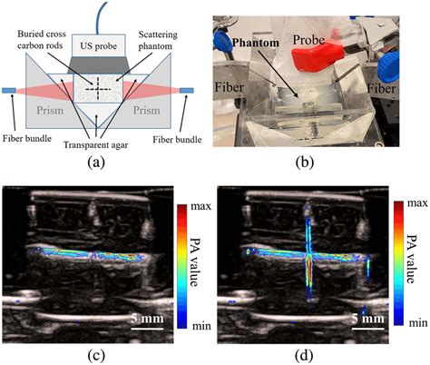 Phantom Experiment A The Schematic Of The Imaging Setup B A Download Scientific Diagram
