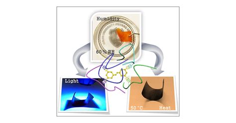Tetracarboxylated Azobenzenepolymer Supramolecular Assemblies As High Performance