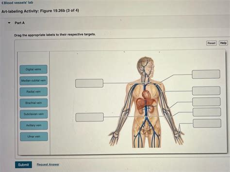[solved] Drag The Appropriate Labels To Their Respective T