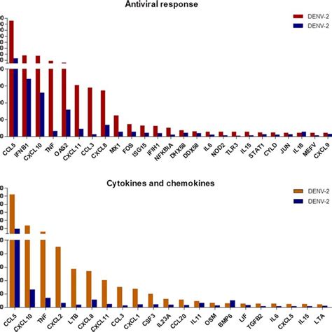 Real Time Reverse Transcription Polymerase Chain Reaction Real Time Download Scientific