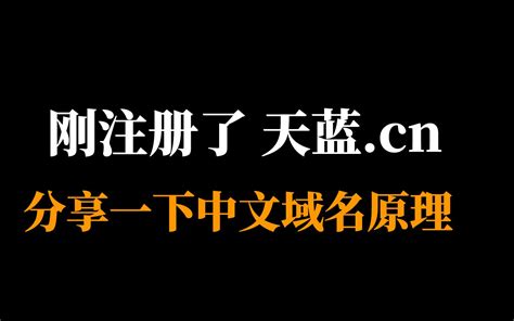 小知识分享中文域名原理 哔哩哔哩 bilibili