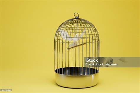 부리에 올리브 나뭇 가지가있는 평화로운 비둘기는 노란색 배경의 닫힌 새장에 앉아 있습니다 3d 렌더링 가축에 대한 스톡 사진 및 기타 이미지 Istock