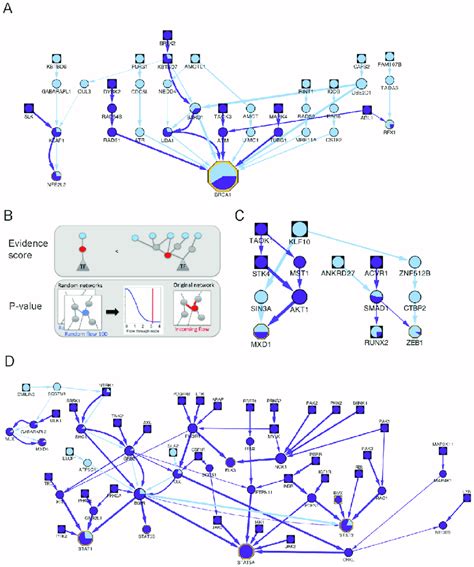 Samnet Network Results For Displaying Network Results We Use The