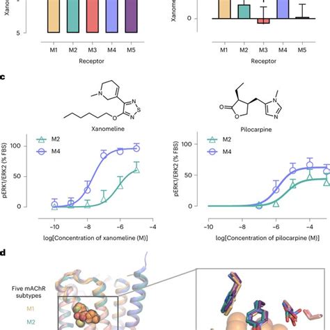 Binding And Mutagenesis Experiments Validate Computational