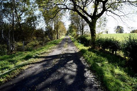 How To Measure A Standing Tree Methods Without Fancy Tools