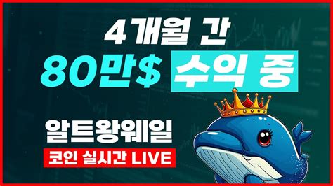 코인실시간방송 4개월만에 시드 5배 만든사람의 코인분석 비트코인 비트코인실시간 Youtube