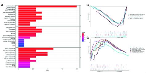 Enrichment Analysis Of Gene Expression In Samples A Graph Showing