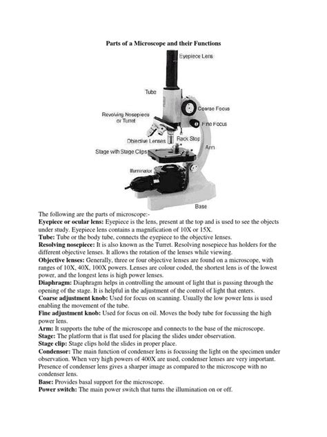 Parts Of A Microscope And Their Functions Parts Of A Microscope And Their Functions