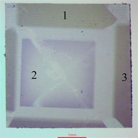 Inhomogeneities In The Distribution Of Defects In The Sample Plane Download Scientific Diagram