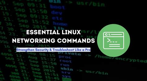 Essential Linux Networking Commands For Cybersecurity Experts