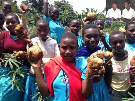 Reports On Send 300 Ugandan Girls To School Globalgiving