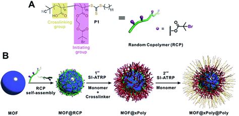 A Molecular Structure Of The Random Copolymer Macroinitiator P1 B Download Scientific