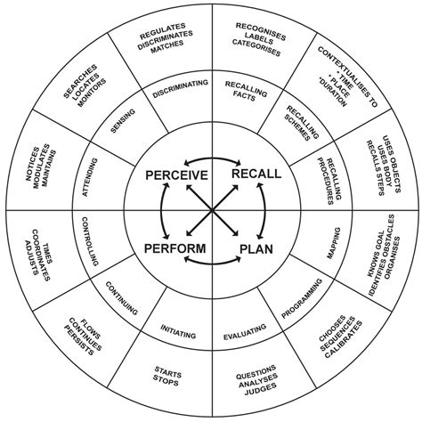 Using The Perceive Recall Plan And Perform Assessment Of Cognitive