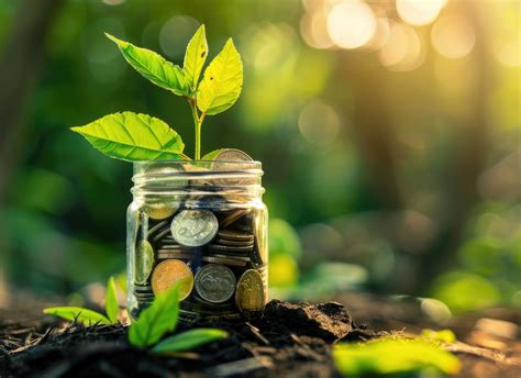 Nieuwe Nacebel Codes 2025 Staat Je Onderneming Correct Geregistreerd