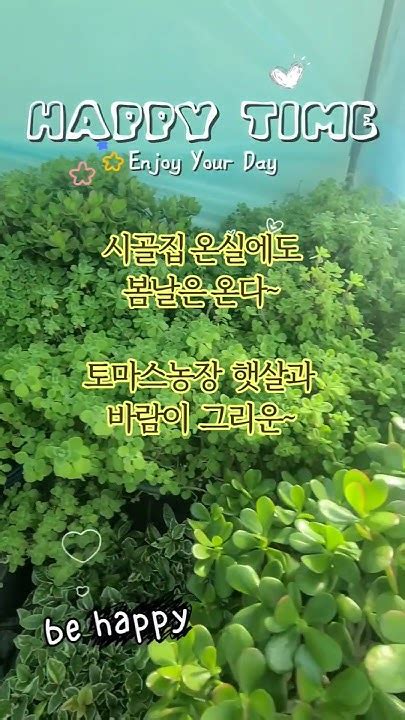 시골집 온실에도 봄날은 온다 토마스농장 시골집온실토마스농장 교육농장 치유농장 경남치유농장 Youtube