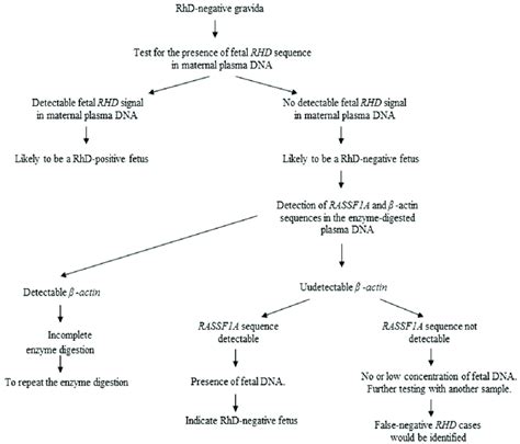 Flowchart For Fetal Rhd Genotyping In Rhd Negative Pregnant Women Using Download Scientific