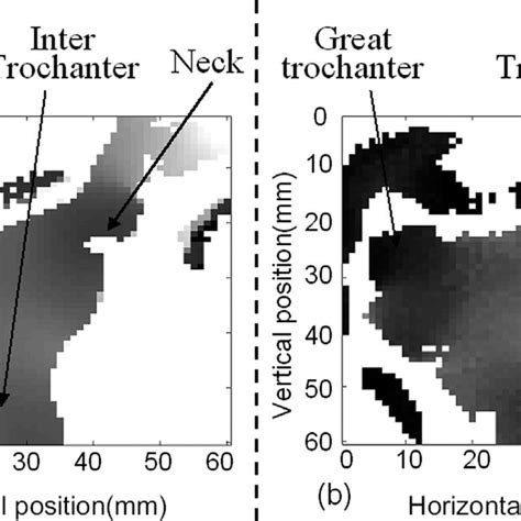 Reference Waveform Transmitted In Water Thick Line And Simulated Download Scientific Diagram