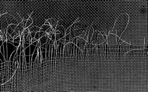 Inconsistent Woven Wire Performance What Is Happening With My Mesh