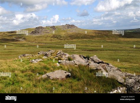 Carn Meini Preseli Hills From Carn Arthur Outcrops Of Spotted Dolerite