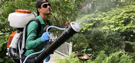 Mosquito Control Best Mosquito Control