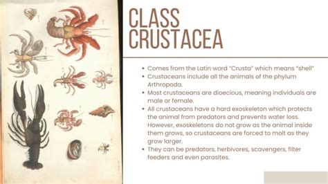 Edit Proofread Design Create By Kleiiers Fiverr