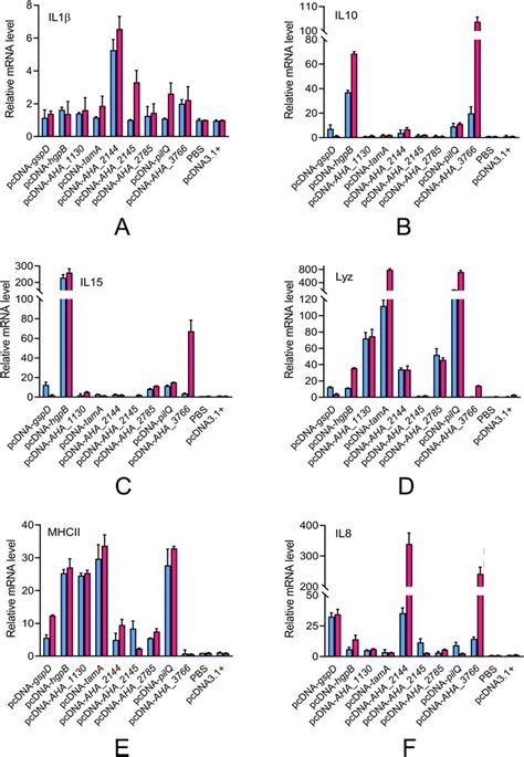 The Expression Of Six Immune Related Genes In Response To The