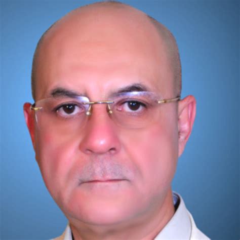 Amr Abdelaziz Cairo University Cairo Cu College Of Graduate